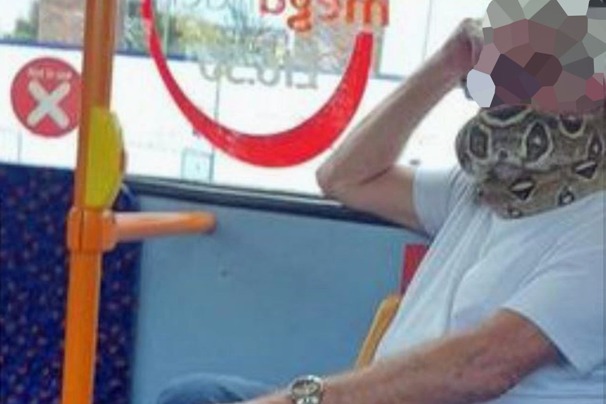 Coronavirus: Man pictured wearing a snake as a ‘face mask’ on a bus ...