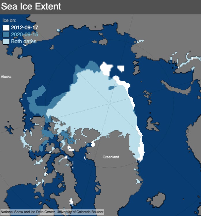 ‘Devastating’: Arctic sea ice shrinks to near record low | The Independent