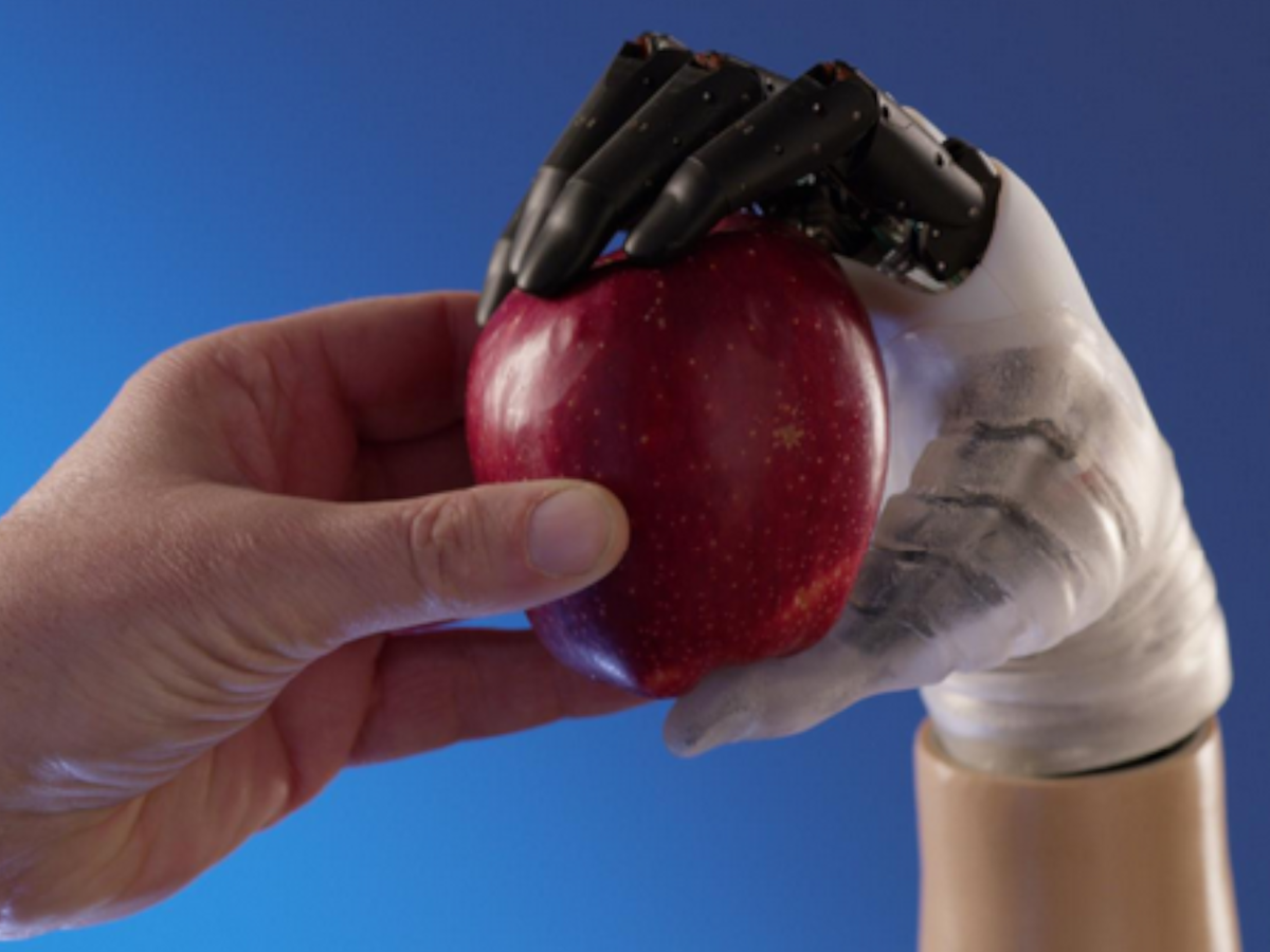 New prosthetic hand can give almost all functionality back to amputees ...