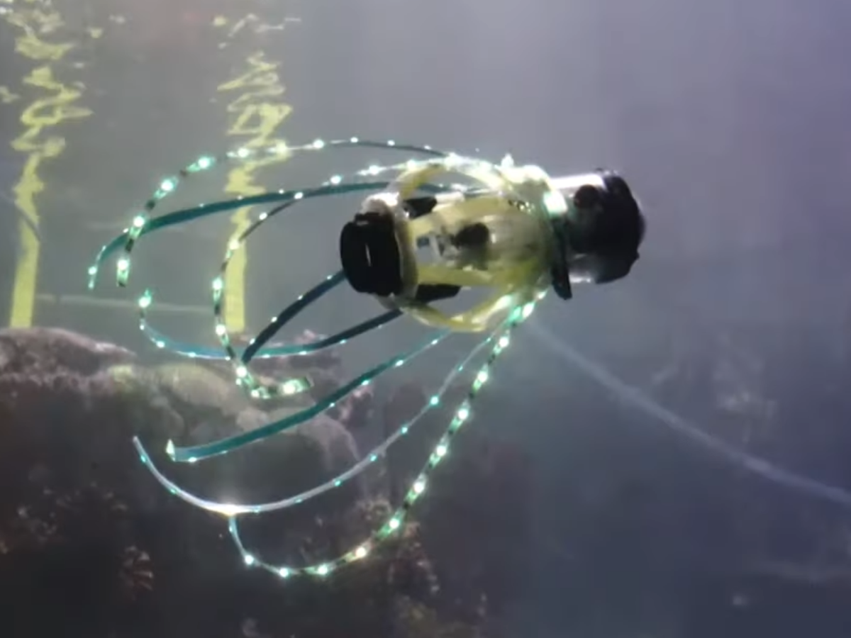 Glowing robot squid could be the next step in deep sea exploration ...