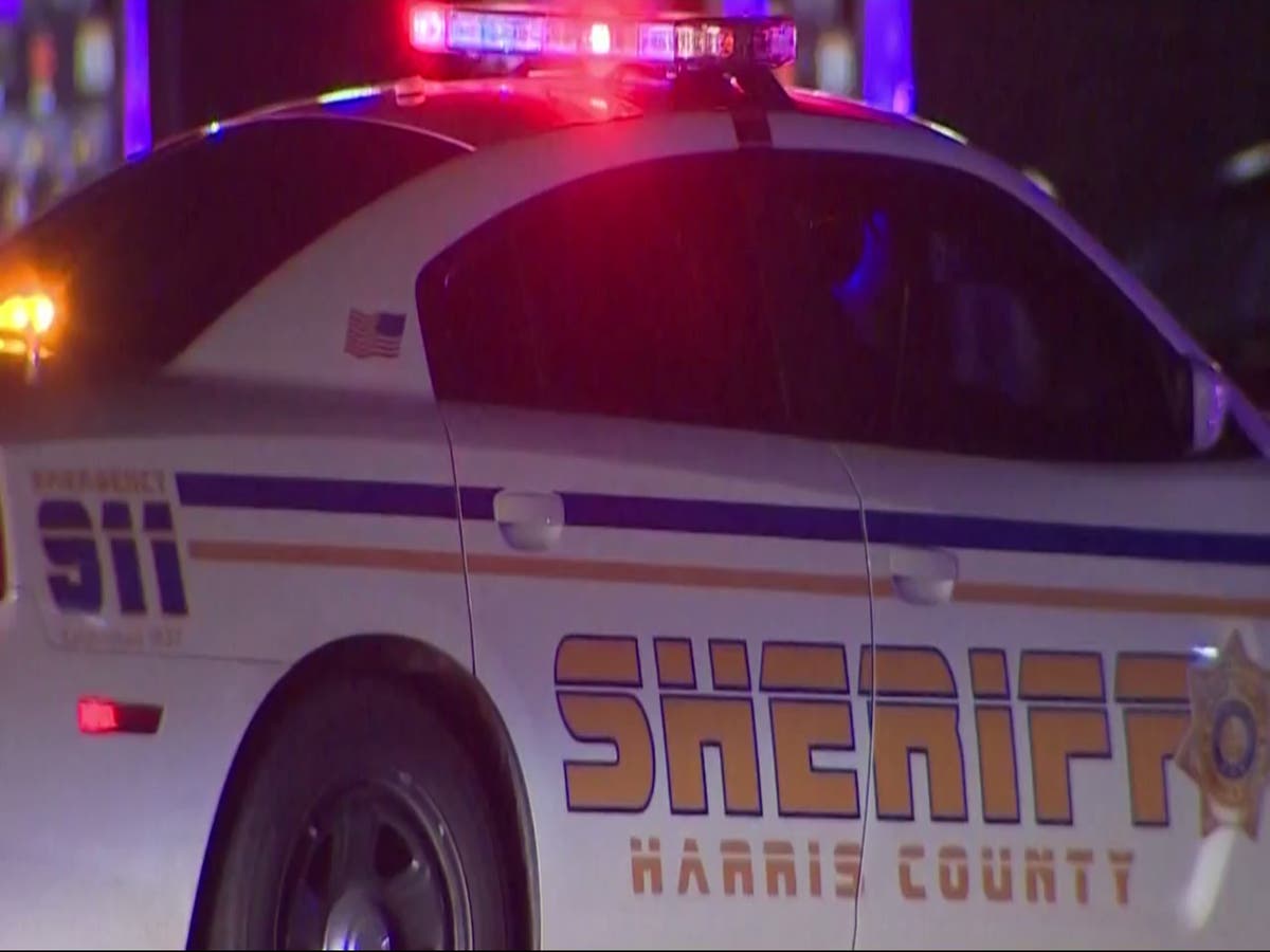 Teenager armed with fake AR-15 rifle fatally shot by man in Texas | The ...