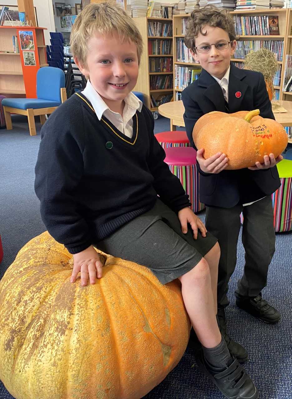Schoolboy grows pumpkin heavier than he is | The Independent
