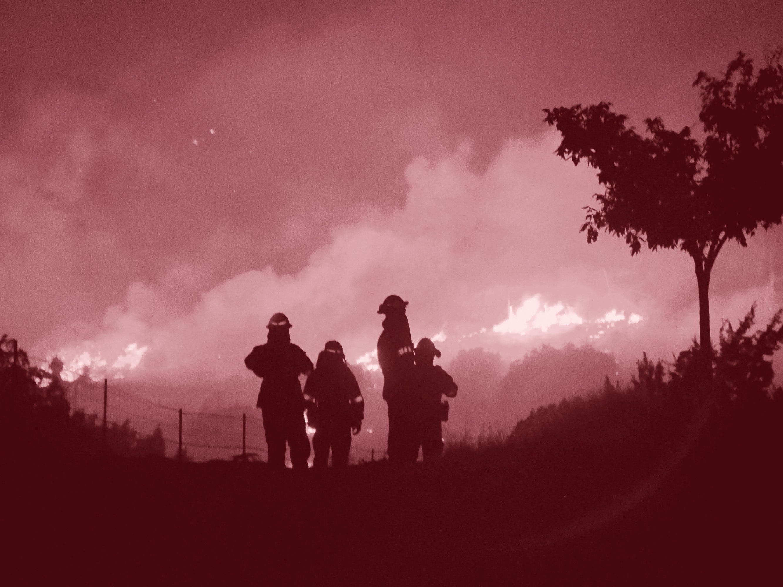 How The Climate Crisis Is Affecting Wildfires Around How The Climate Crisis Is Affecting Wildfires Around