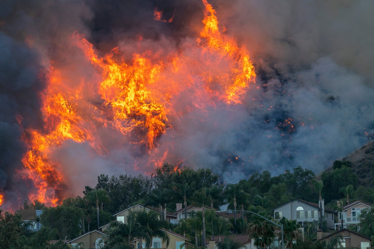Severe forest fires have increased eightfold in western US since 1985 ...