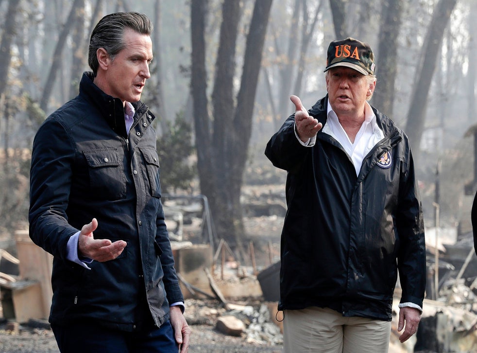 Federal agencies fall short of Trump forest protection goals Wildfire ...