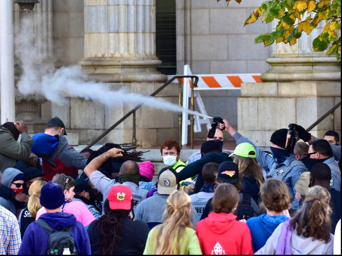 Police pepper-spray protesters including children on peaceful march to ...