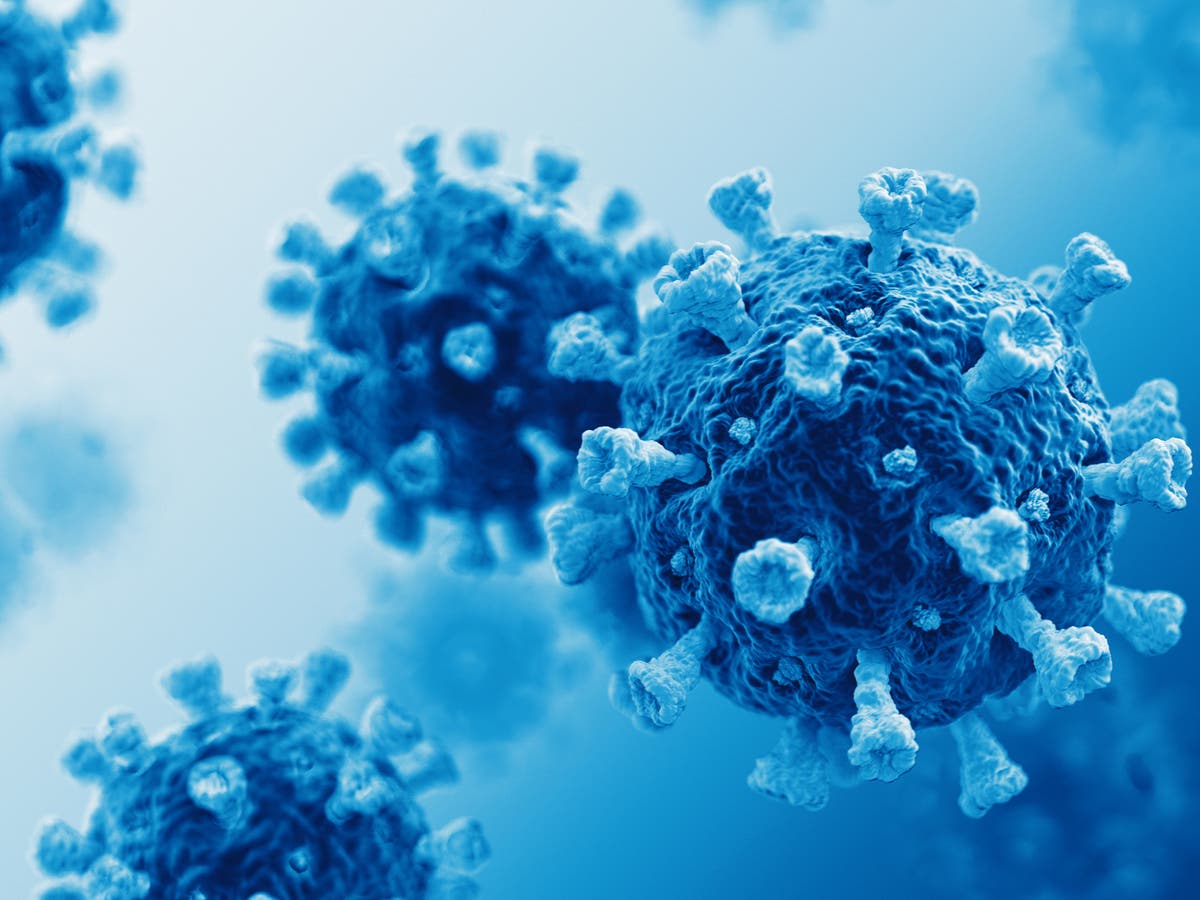 Anti-complement drugs are looking promising in the fight against ...