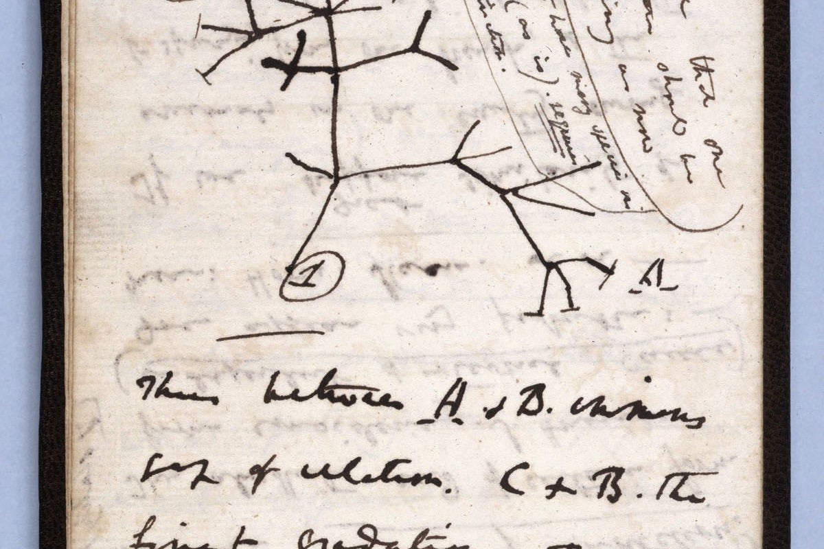 Charles Darwin notebooks stolen from Cambridge library reported missing ...