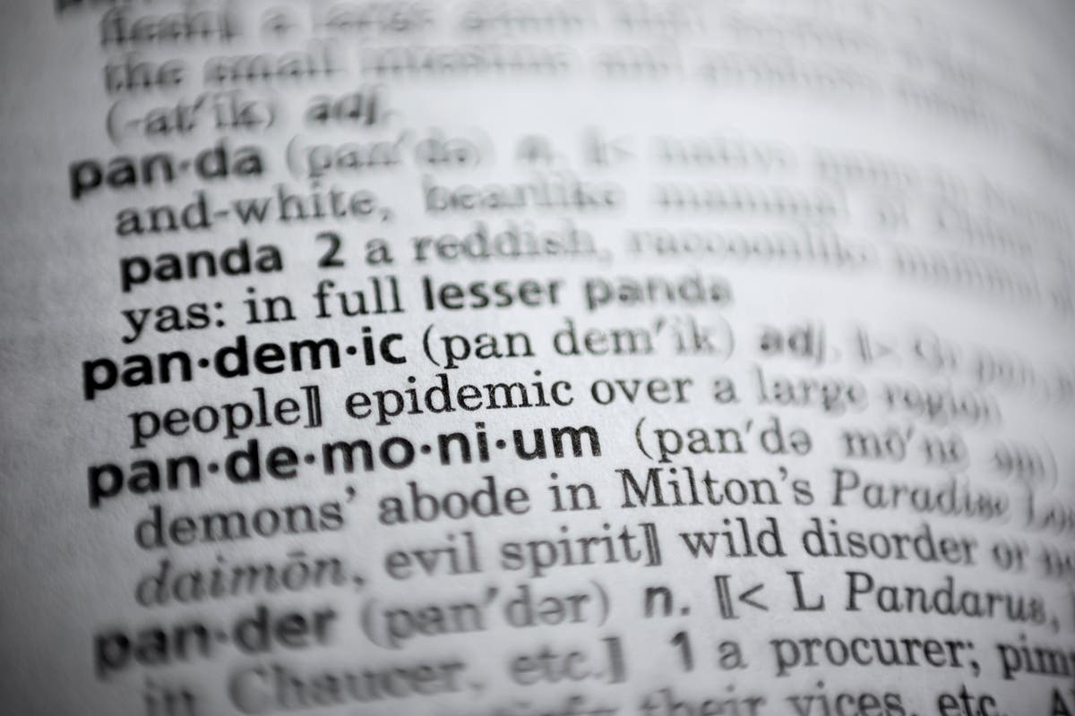 Merriam-Webster's top word of 2020 not a shocker: pandemic word word ...