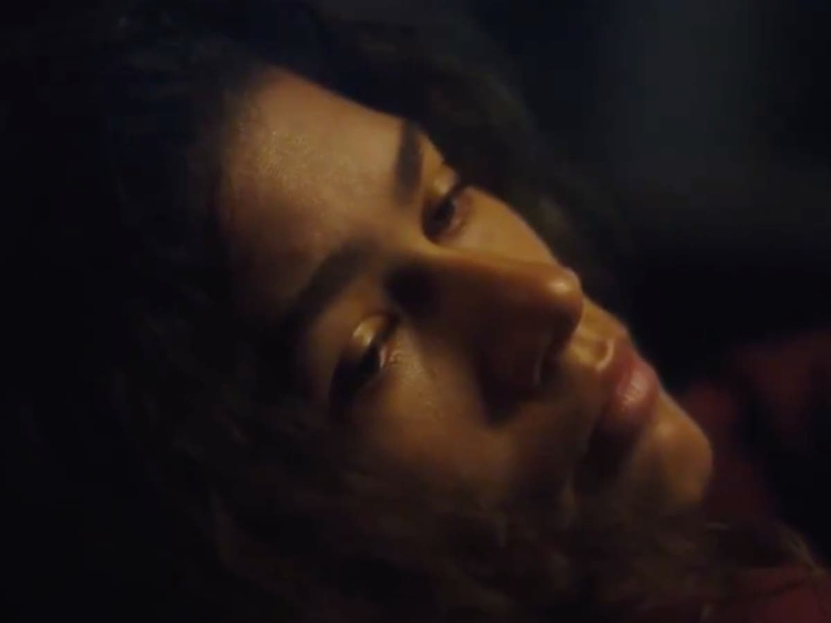 Euphoria releases new, Rue-focused special trailer | The Independent