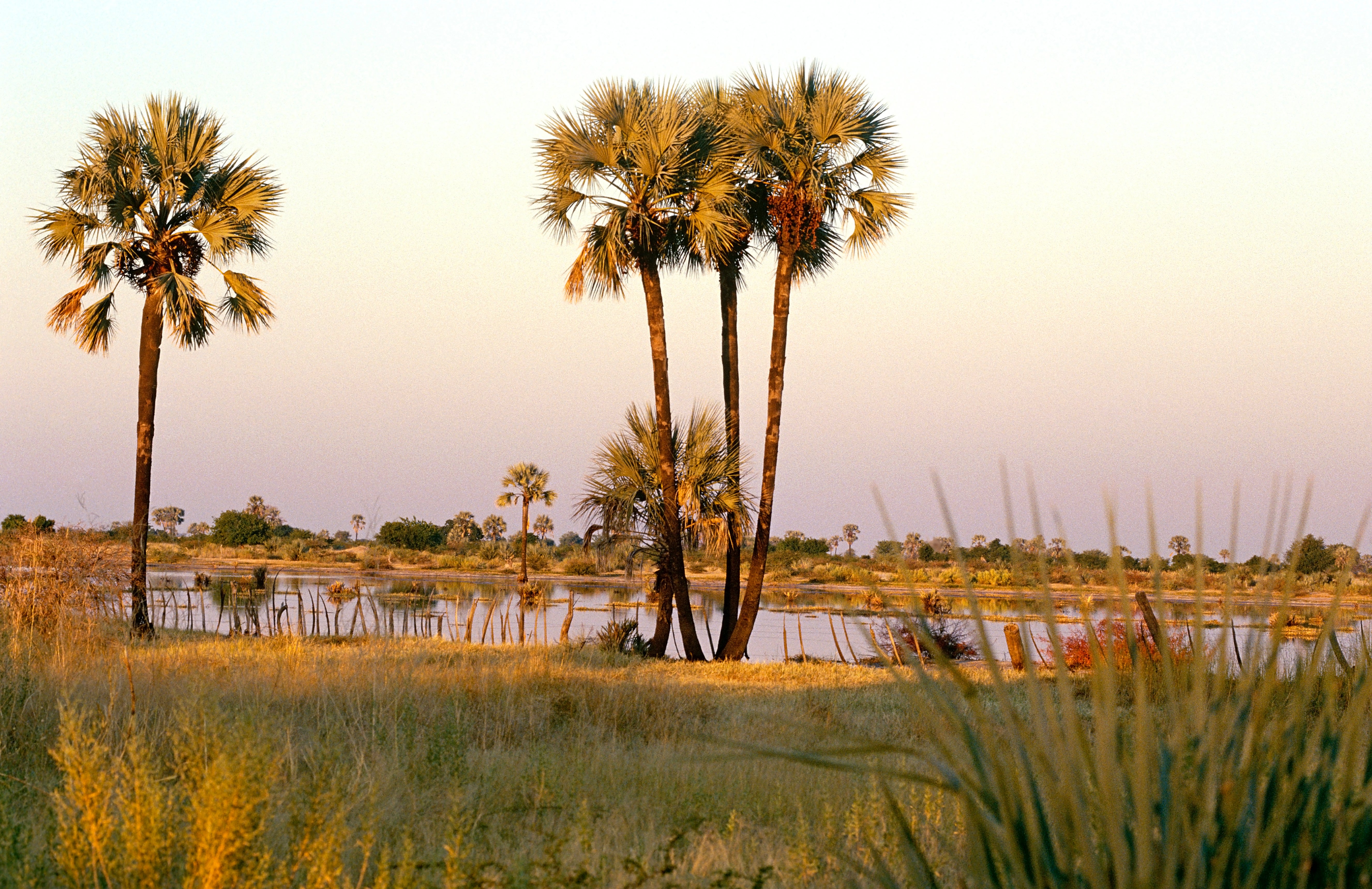 Politican named after Adolf Hitler wins seat in Namibian election | indy100