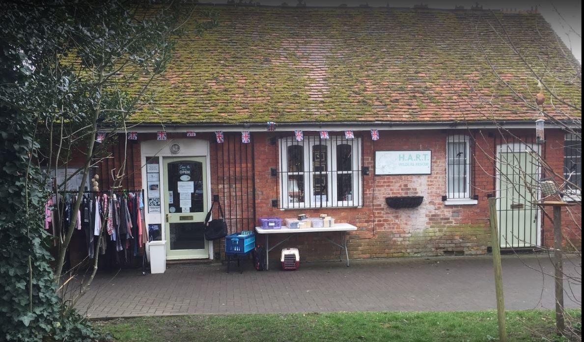 All Hart: How a Hampshire wildlife charity is trying to survive ...