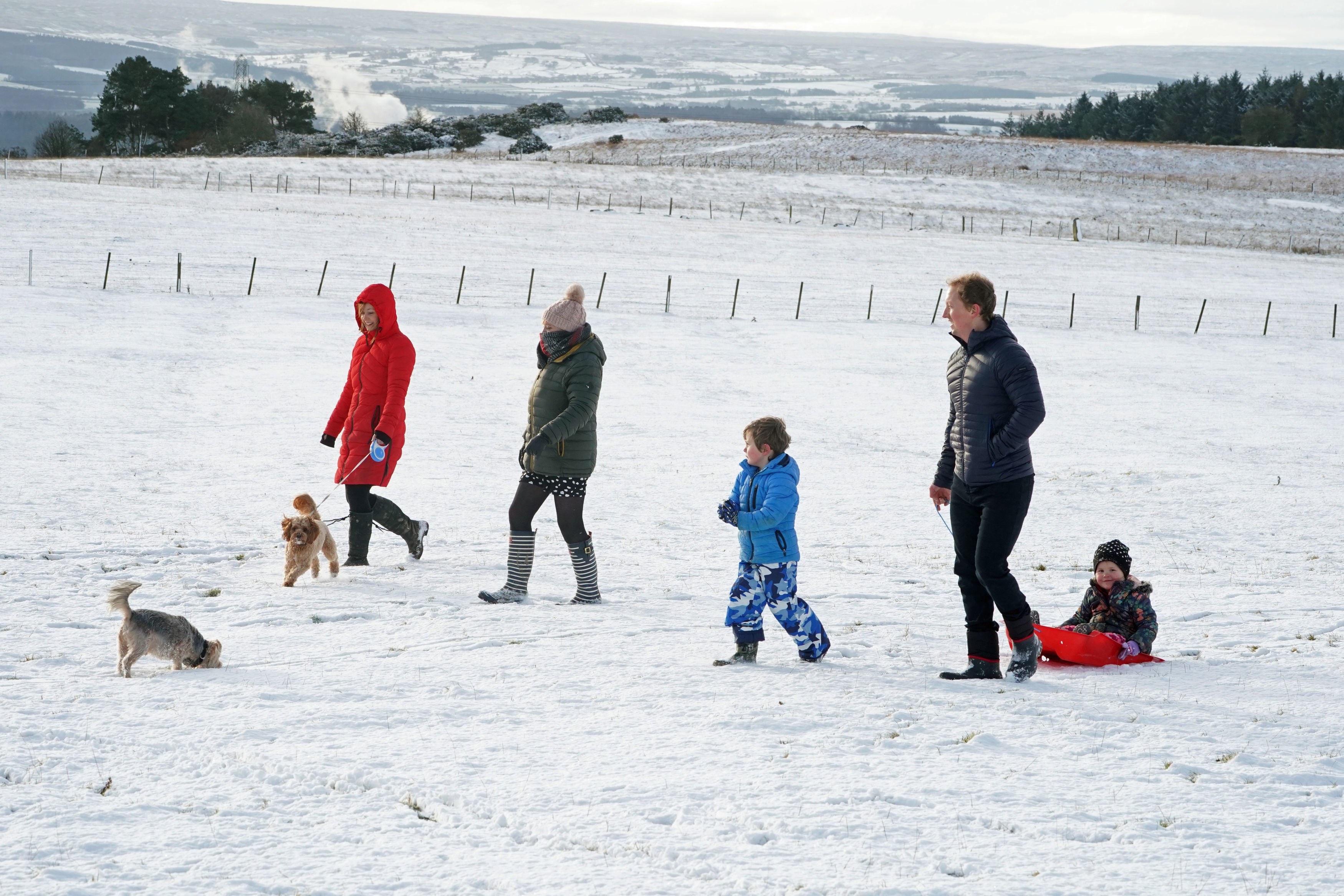 Snowy scenes captured around the country as UK sees White Christmas ...