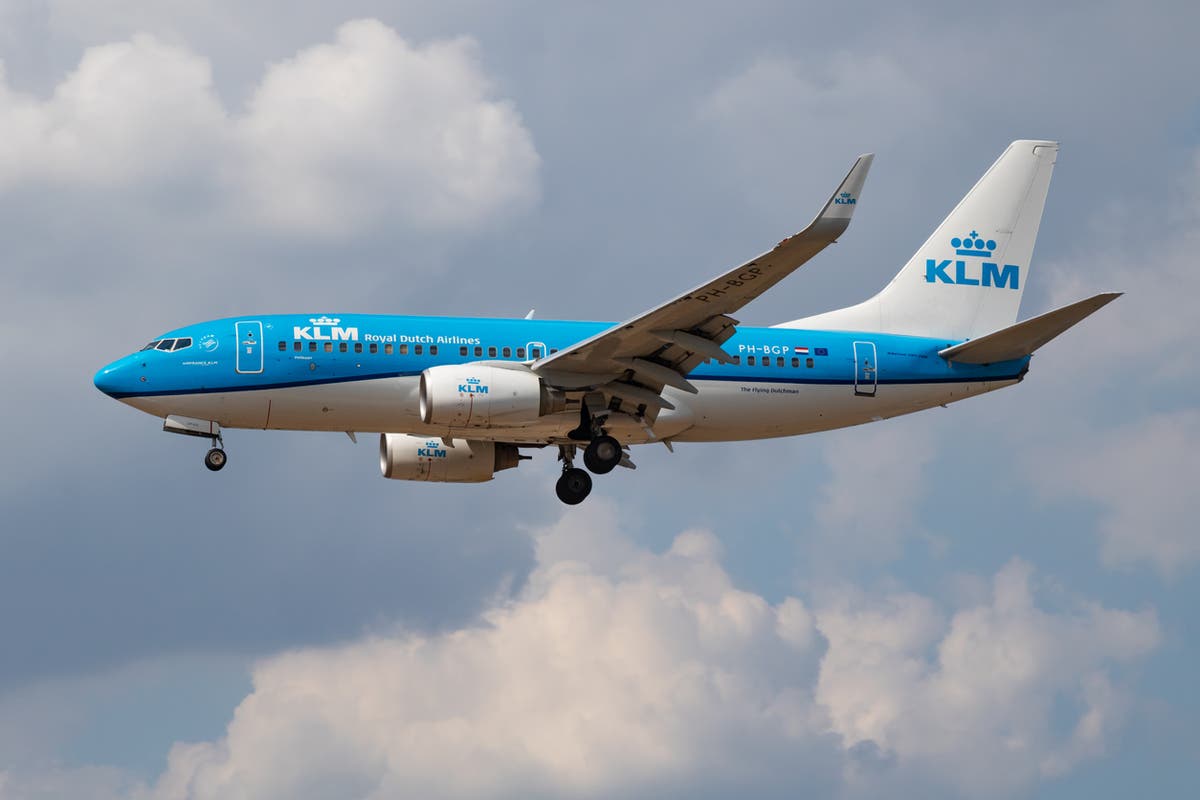 KLM could ground all long-haul flights | The Independent