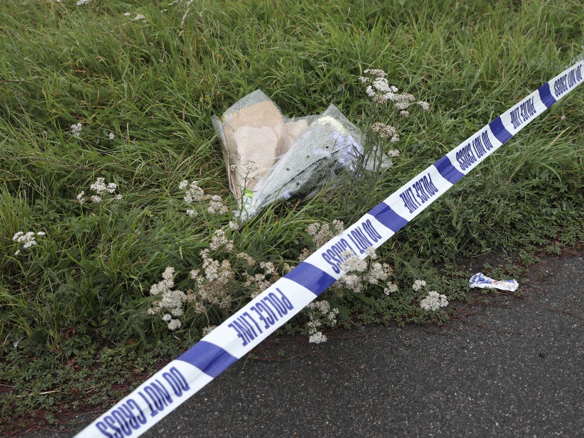 Murder probe launched after teen stabbed to death in Reading | The ...