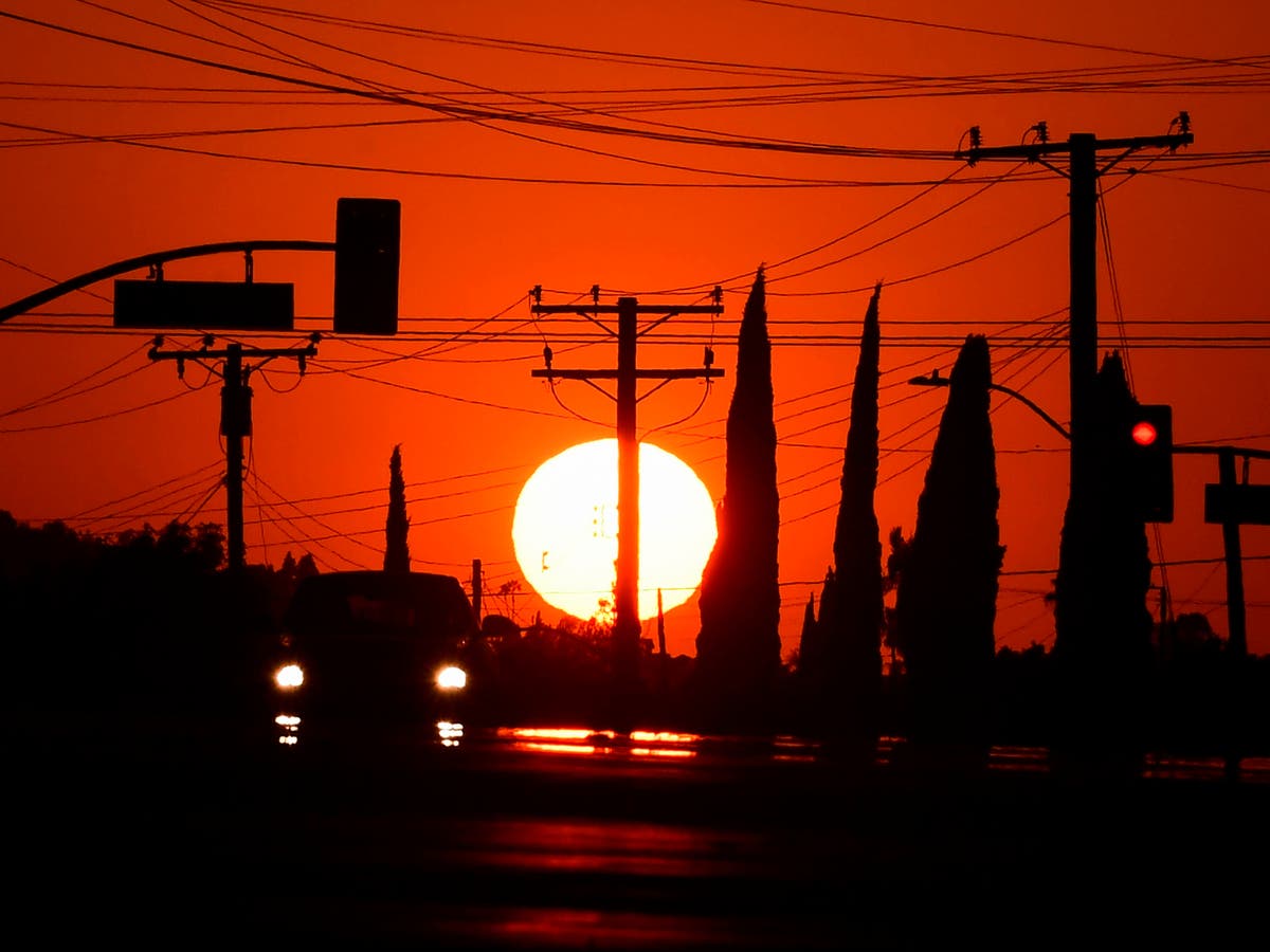 Cities around world will see humidity fall due to climate crisis, study ...