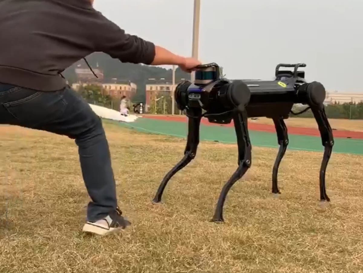 Robot dog gains ability to fend off human attackers | The Independent