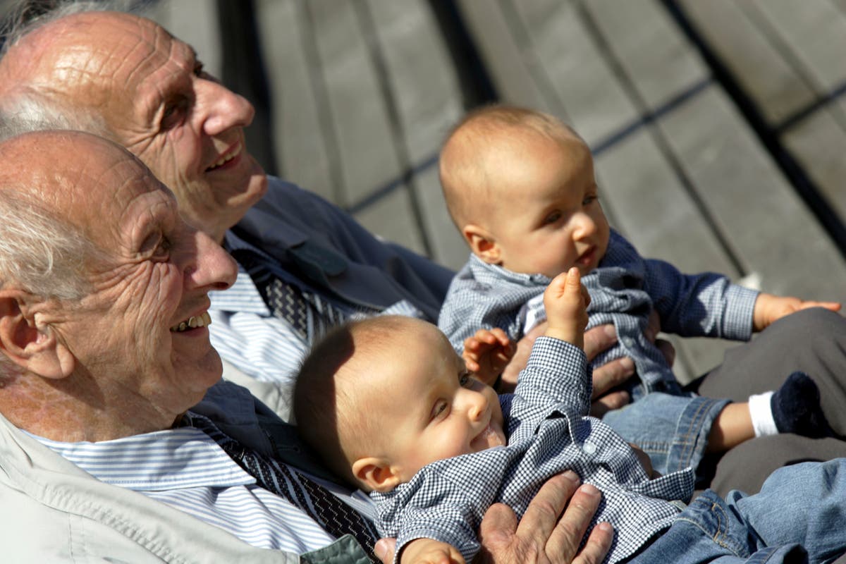Identical twins aren't perfect clones, research shows twin DNA twin ...