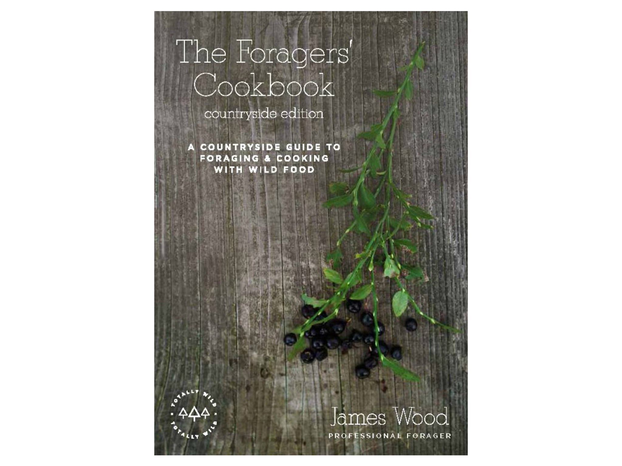 Beginner’s guide to foraging: Everything you need to source wild food ...