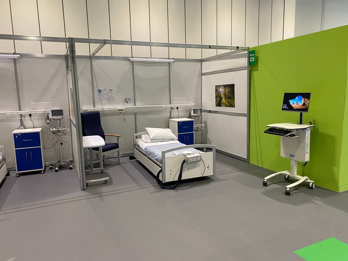 Which patients will be taken to NHS Nightingale | The Independent