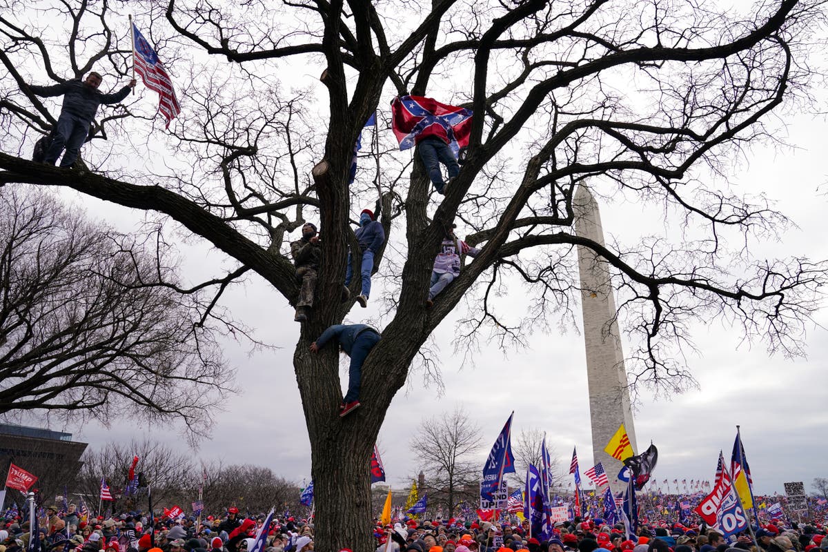 Years of white supremacy threats culminated in Capitol riots Network ...