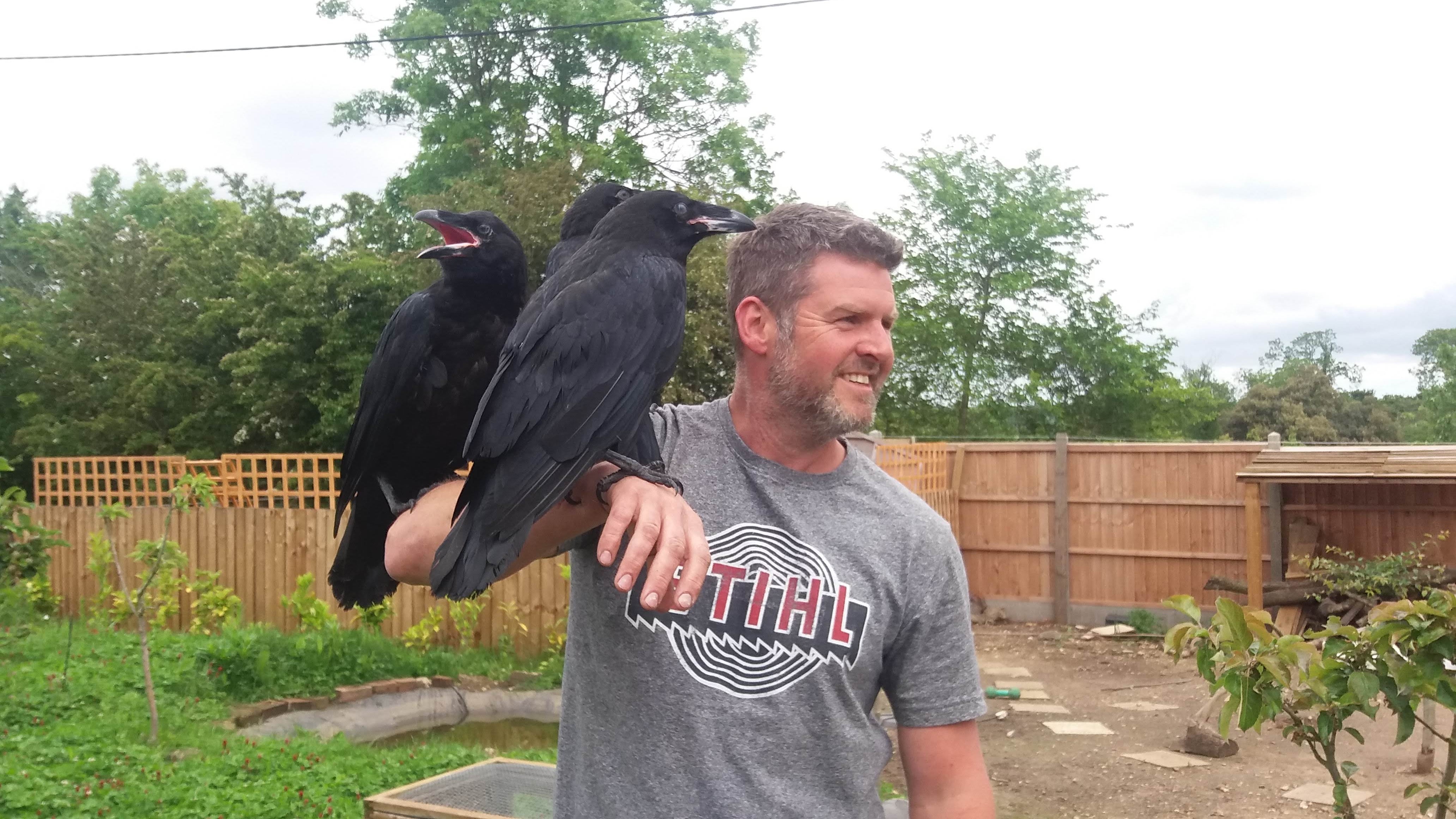 The Birdman of the Tower of London and the missing ravens | The Independent