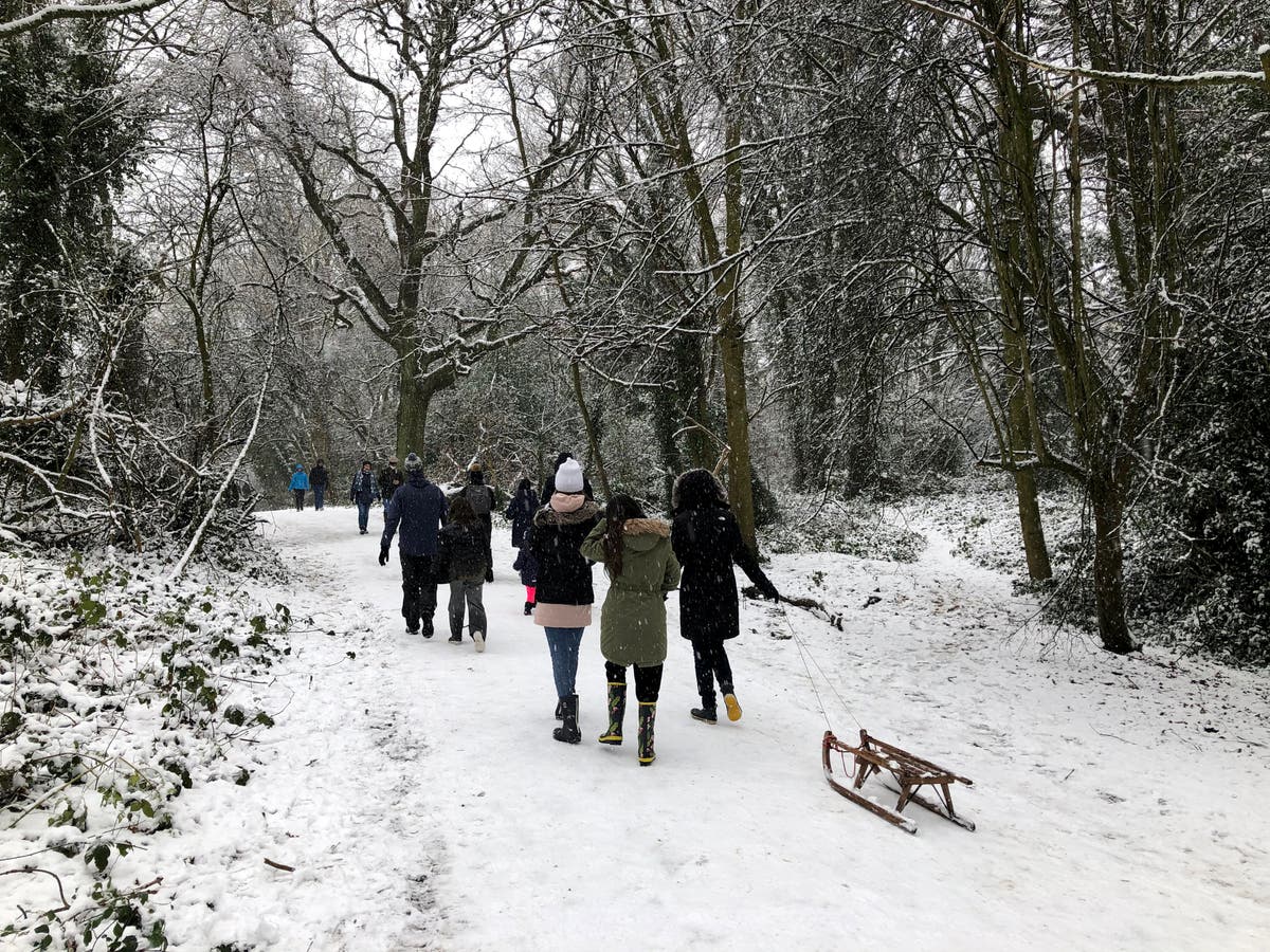 Will remote schooling make ‘snow days’ a thing of the past? | The ...