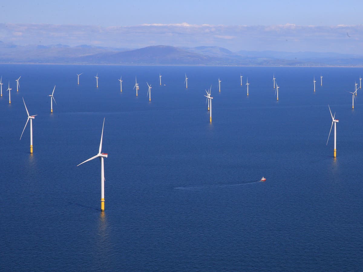 Denmark to build world’s first wind energy island in the North Sea to ...