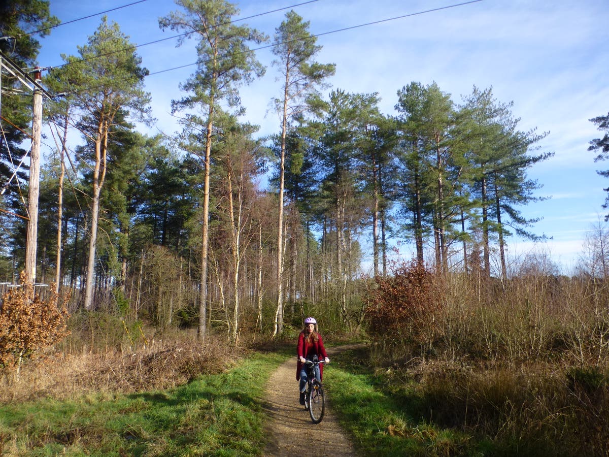 Cycling Dorset’s Castleman Trailway, a former railway | The Independent
