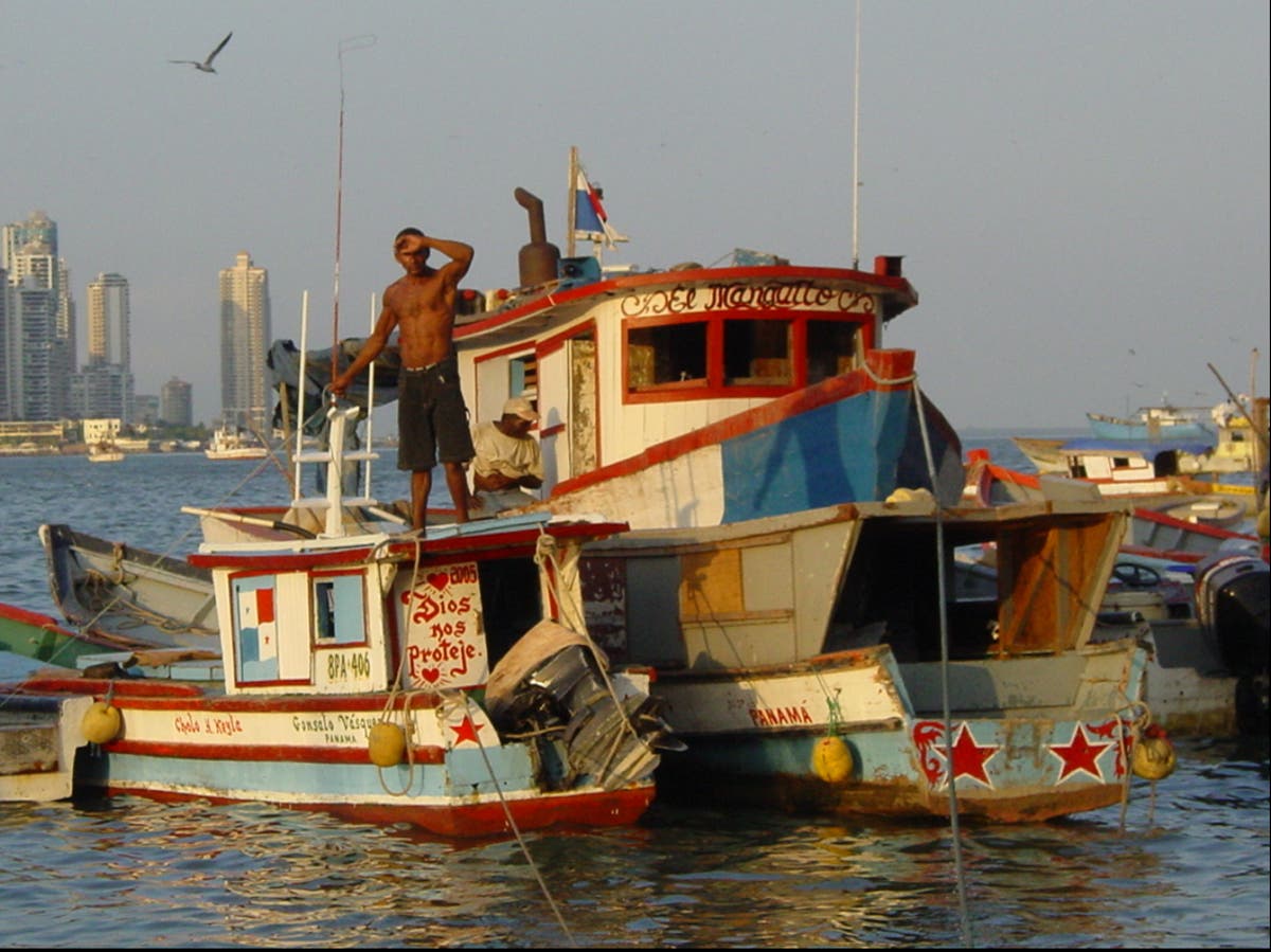 Welcome to UK, the no-go land | The Independent