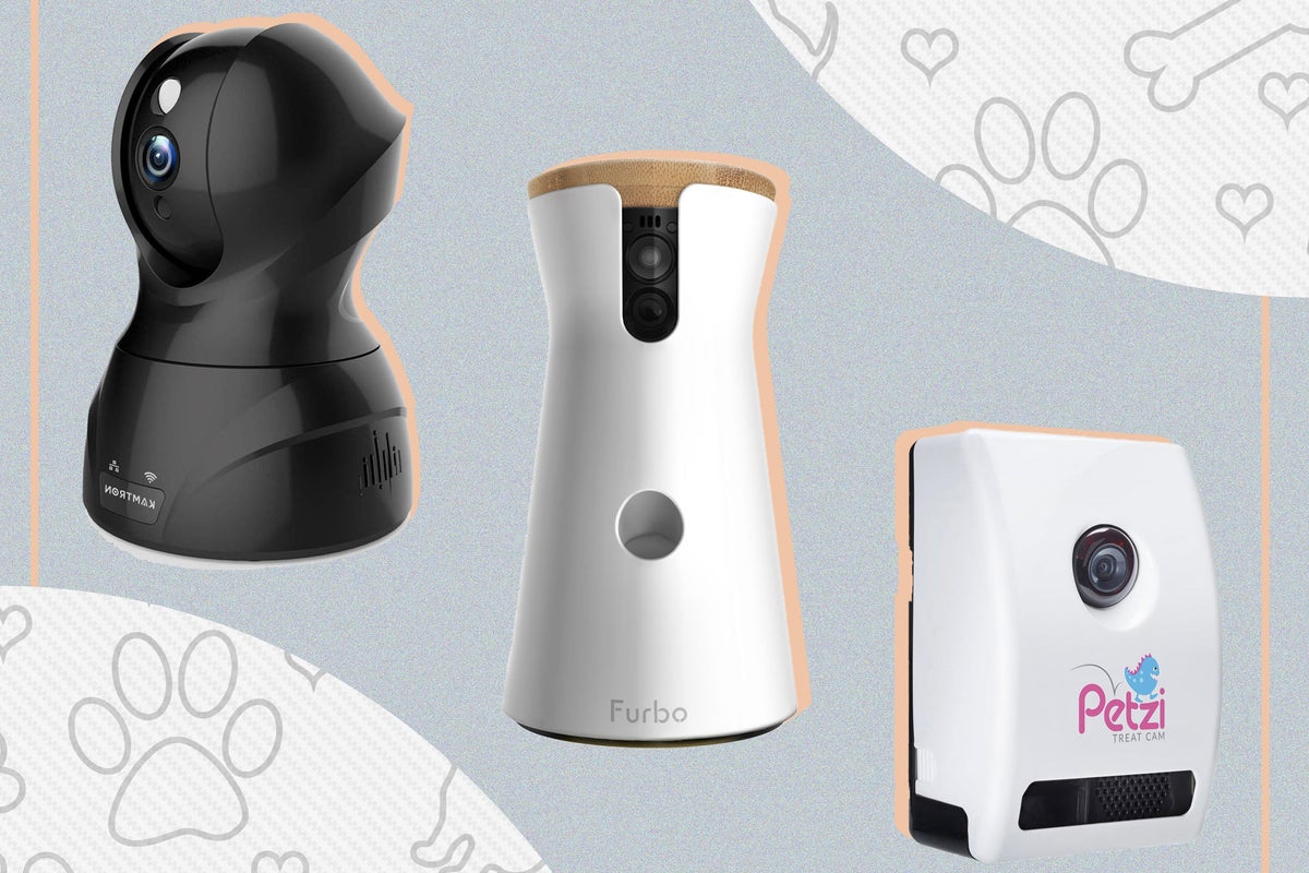 what is a dog camera