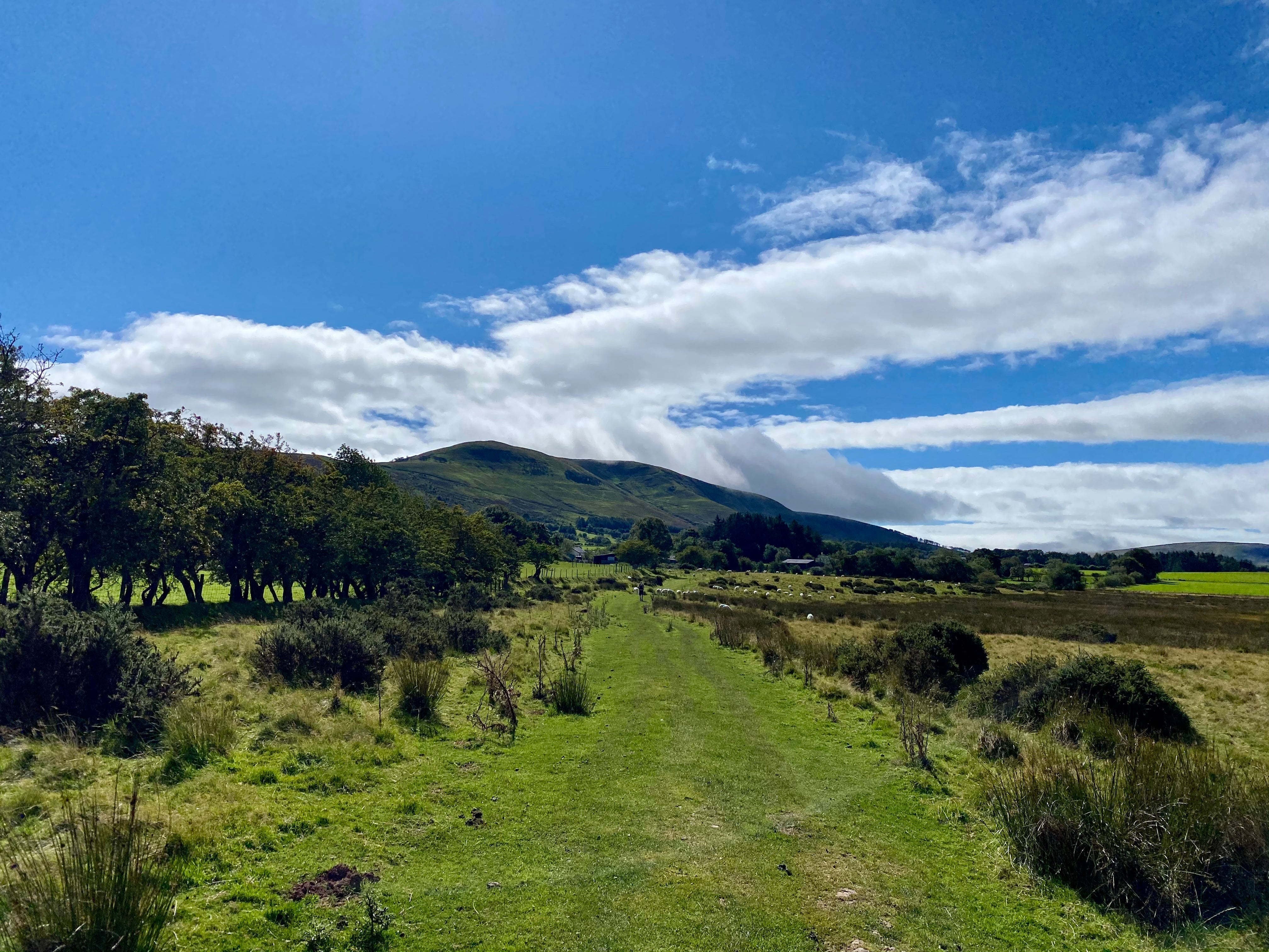 Discovering Sarn Helen, Wales’ ancient Roman way | The Independent