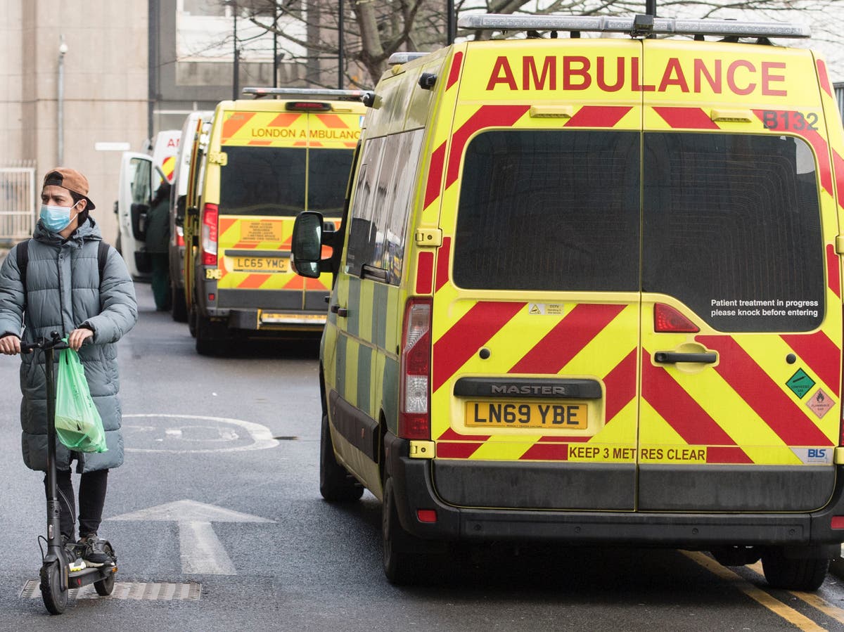 World has lost over 20.5 million years of life due to coronavirus ...