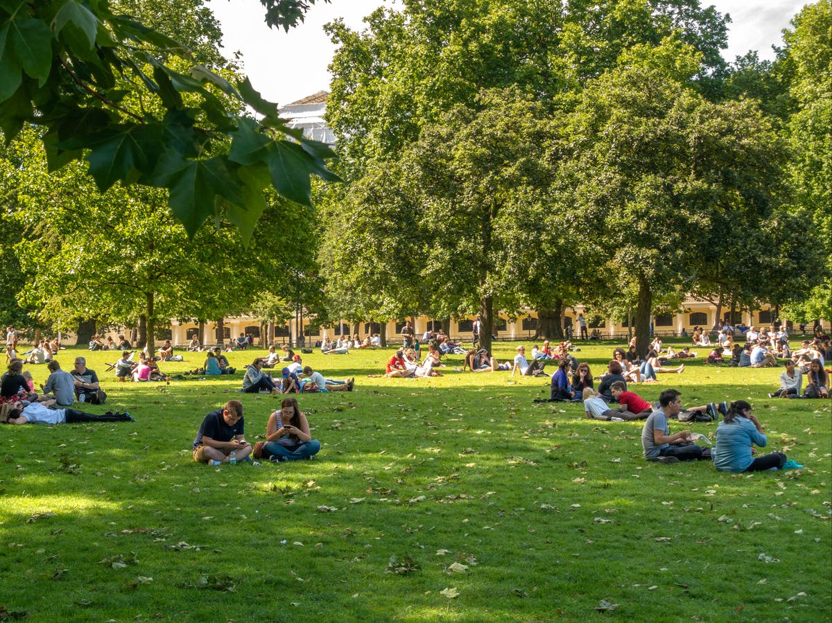 Unusually warm weather ‘saved government £260m in energy support’ | The ...