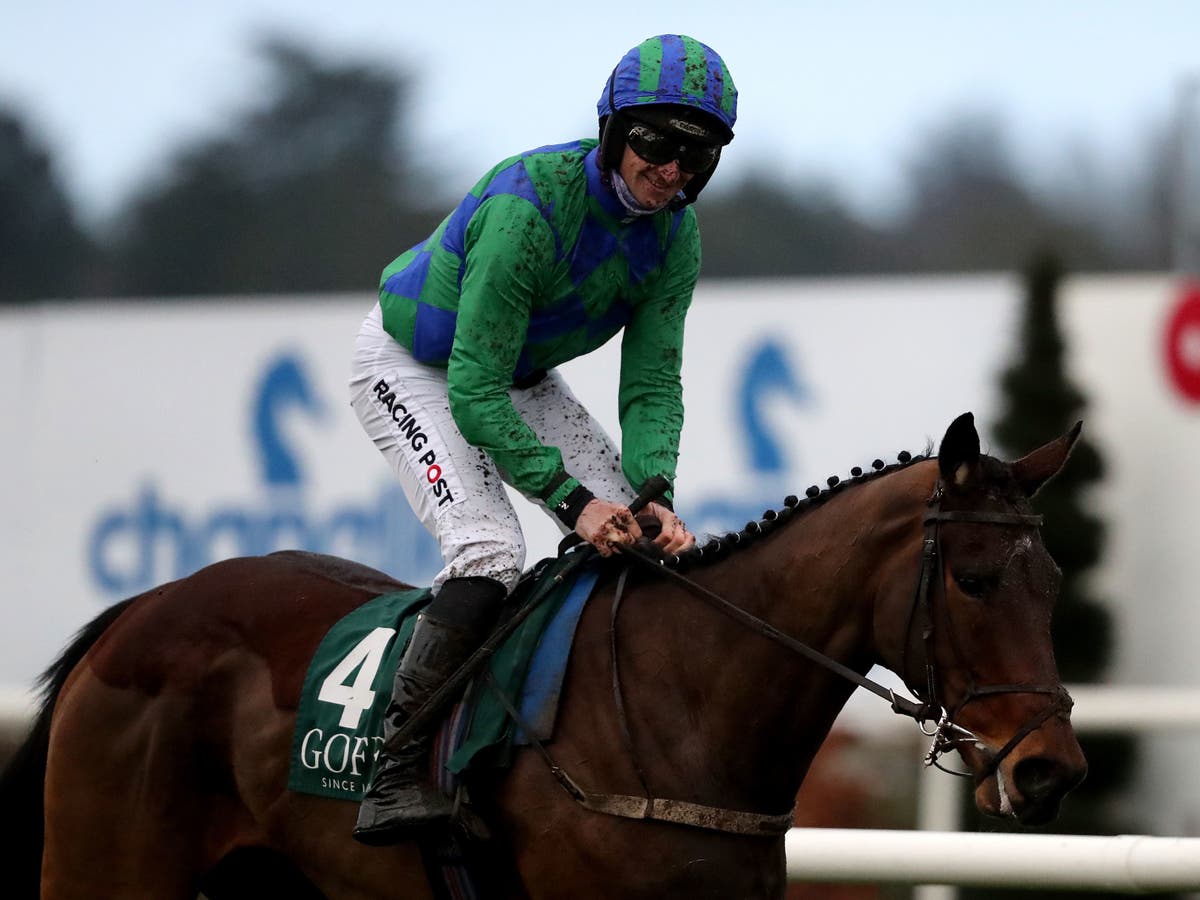 Patrick Mullins could turn professional for Cheltenham Festival after ...