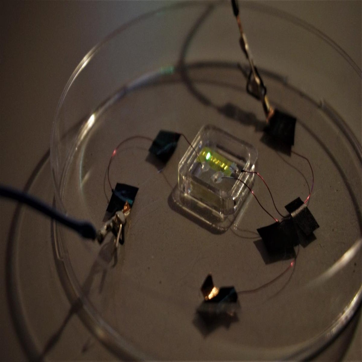 Smart Digital Tattoos