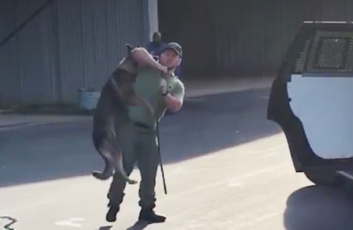 North Carolina cop faces investigation over footage of him apparently ...