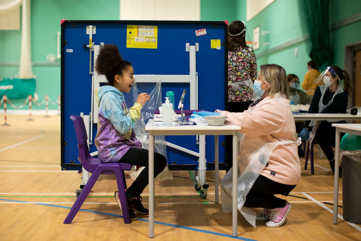 Students with positive result from rapid test should still self-isolate ...