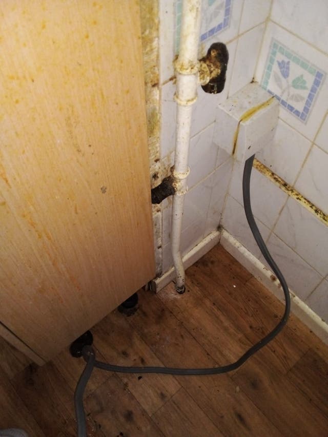 Asylum seekers placed in squalid housing with no money in ‘shambolic ...