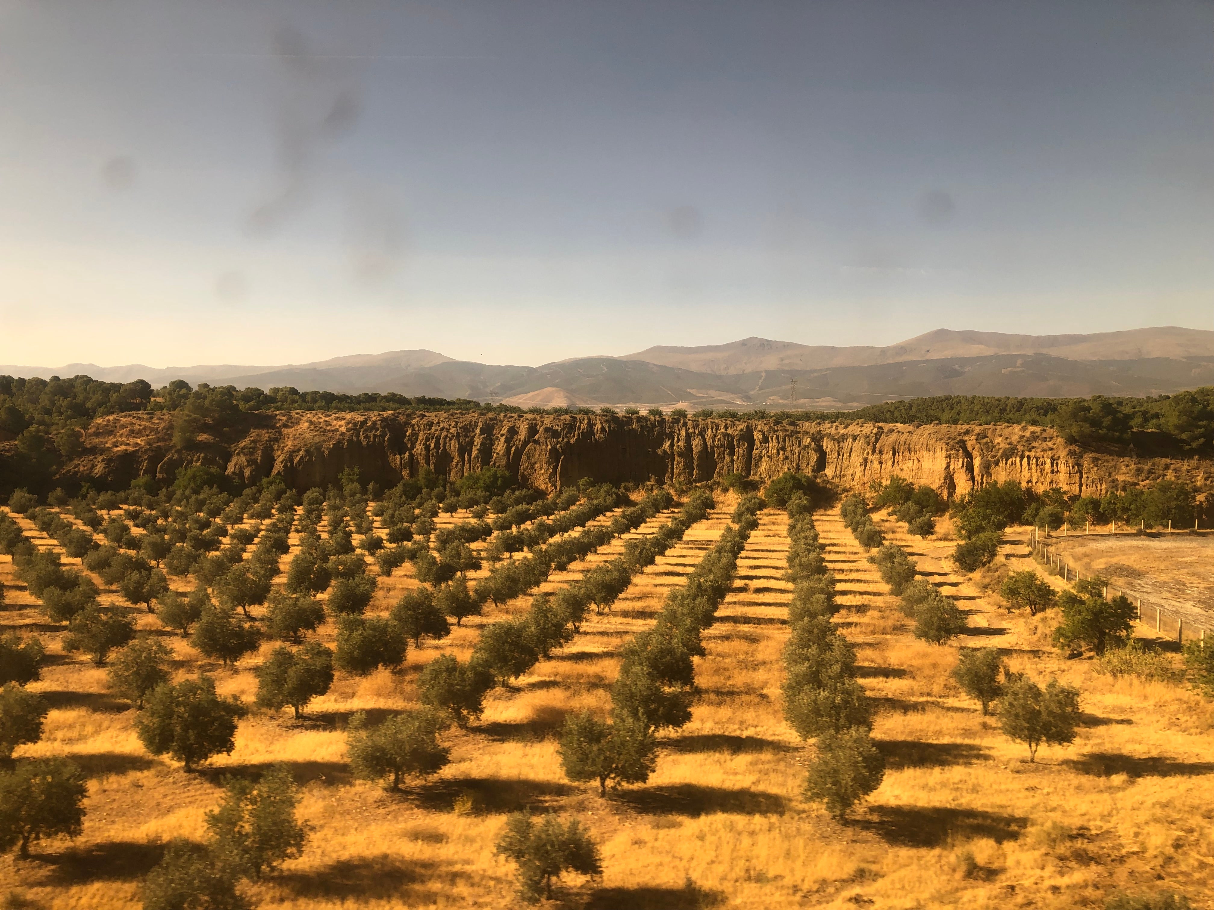 Ride a rail adventure beyond the Costas for a taste of real Spain | The ...