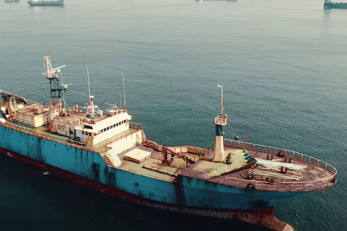 Seaspiracy: Viewers react to controversial Netflix documentary about ...