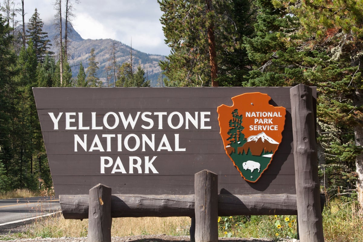 Forrest Fenn treasure hunter jailed for digging up Yellowstone cemetery ...
