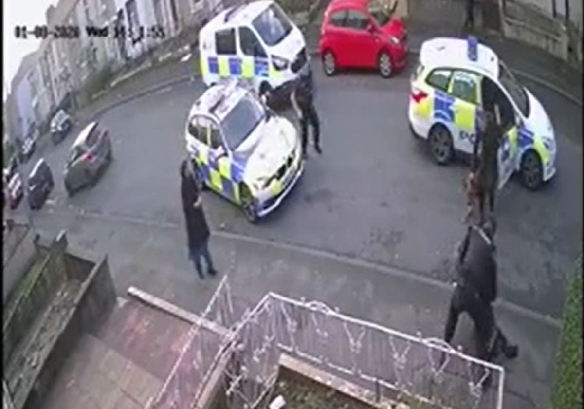 Police officer charged with assaulting car thief used ‘reasonable ...