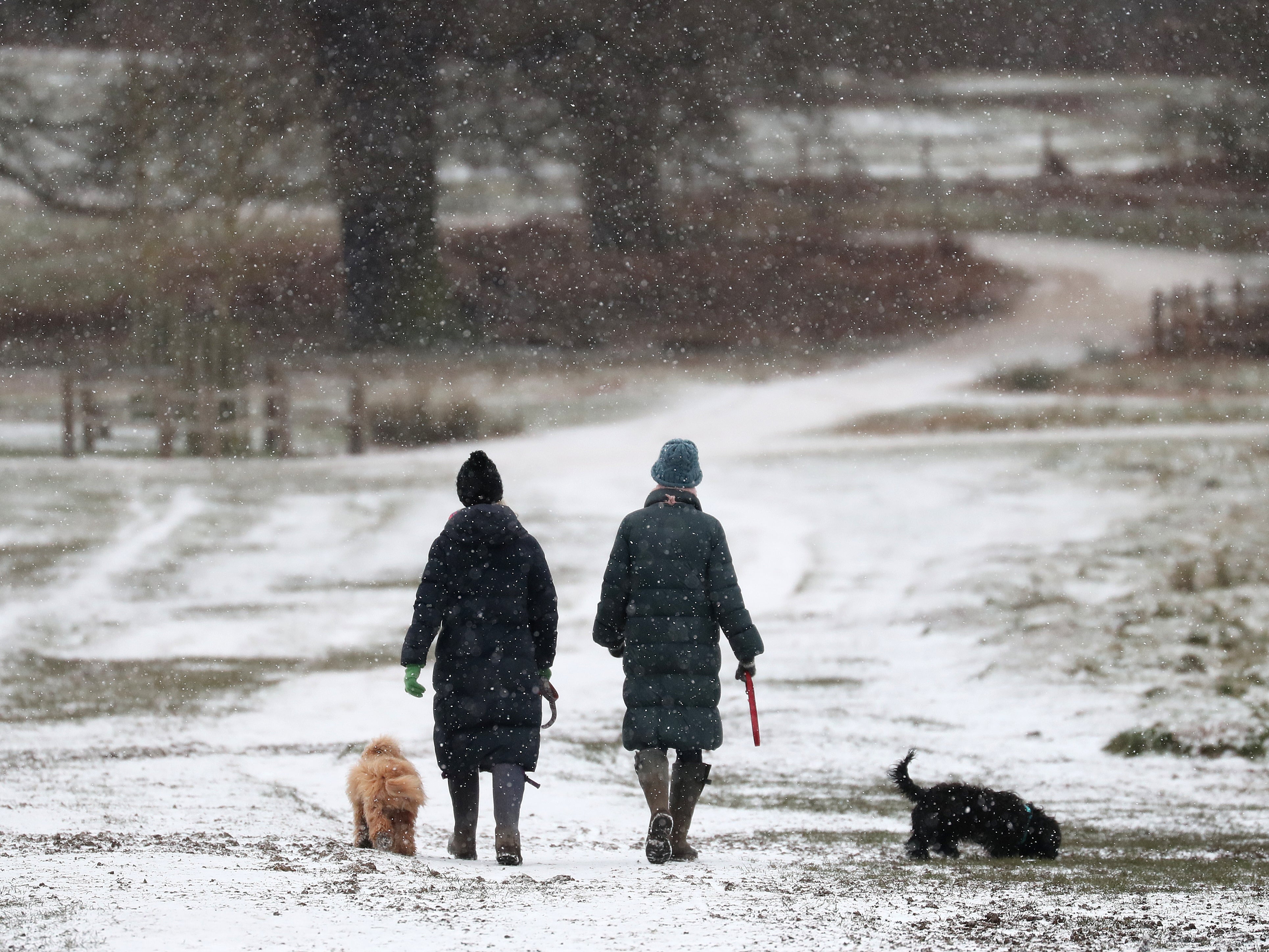 Snow sweeps UK on Easter Monday as Twitter shares wintry scenes | indy100