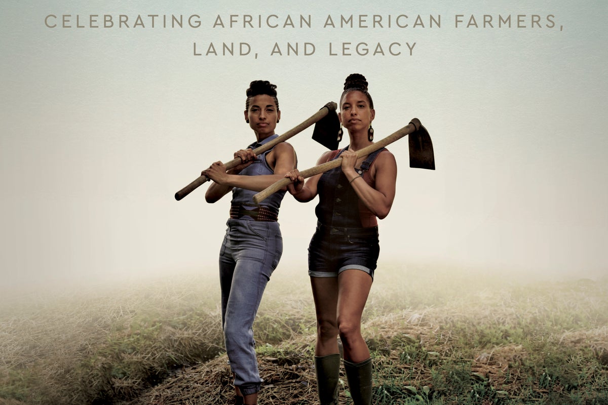 Review: A book celebrating Black American farming history New York ...