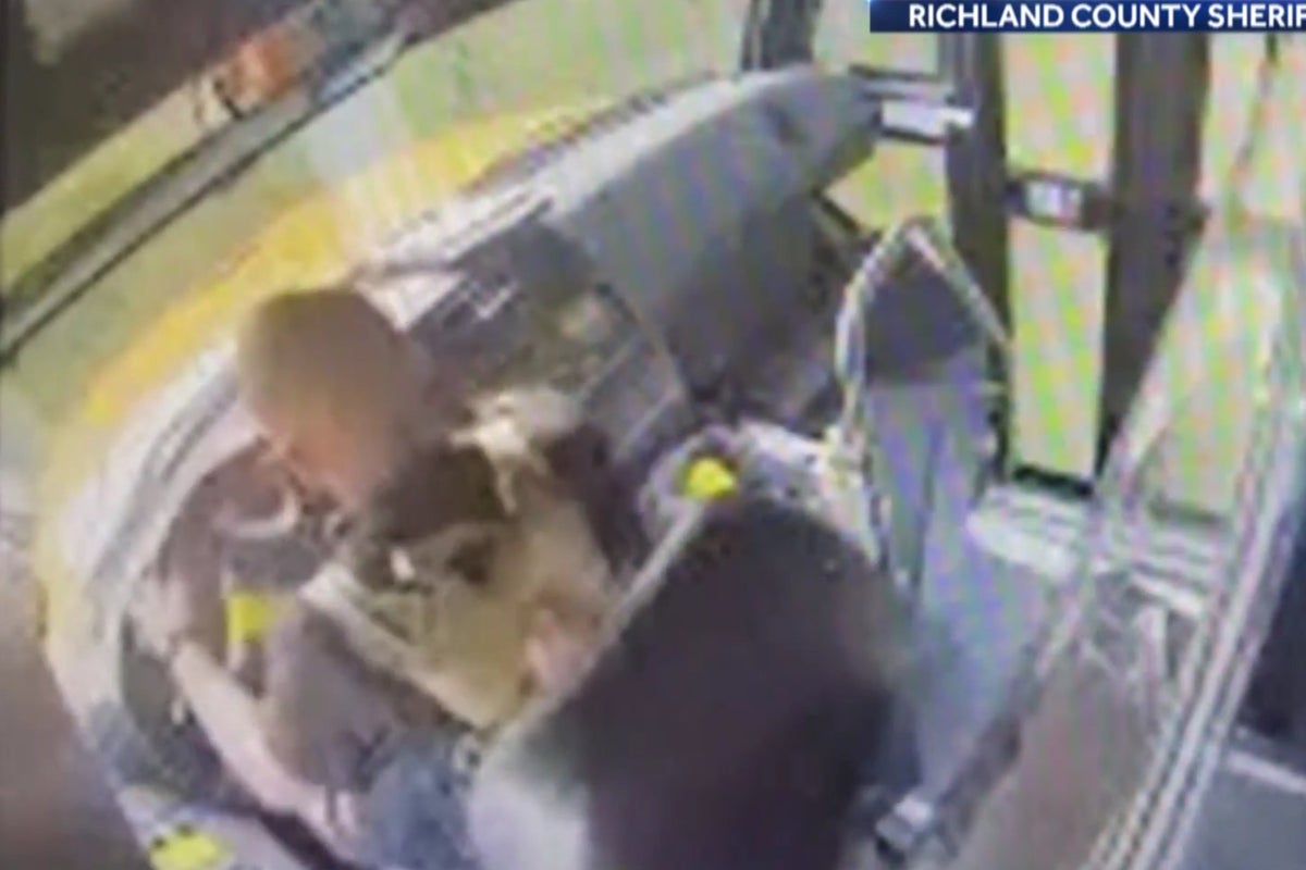 Armed school bus hijacker let children go after they pestered him by ...