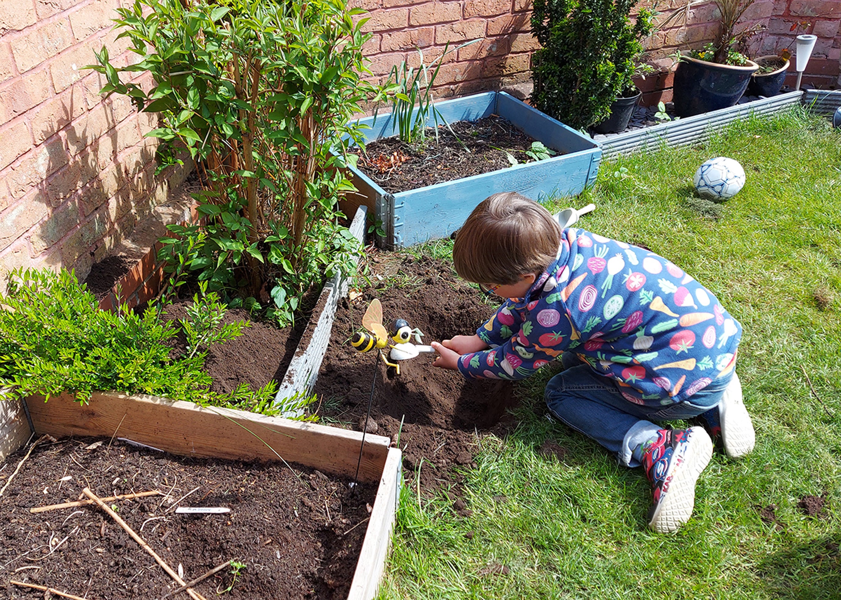 How to build your own wildlife-friendly mini pond | The Independent