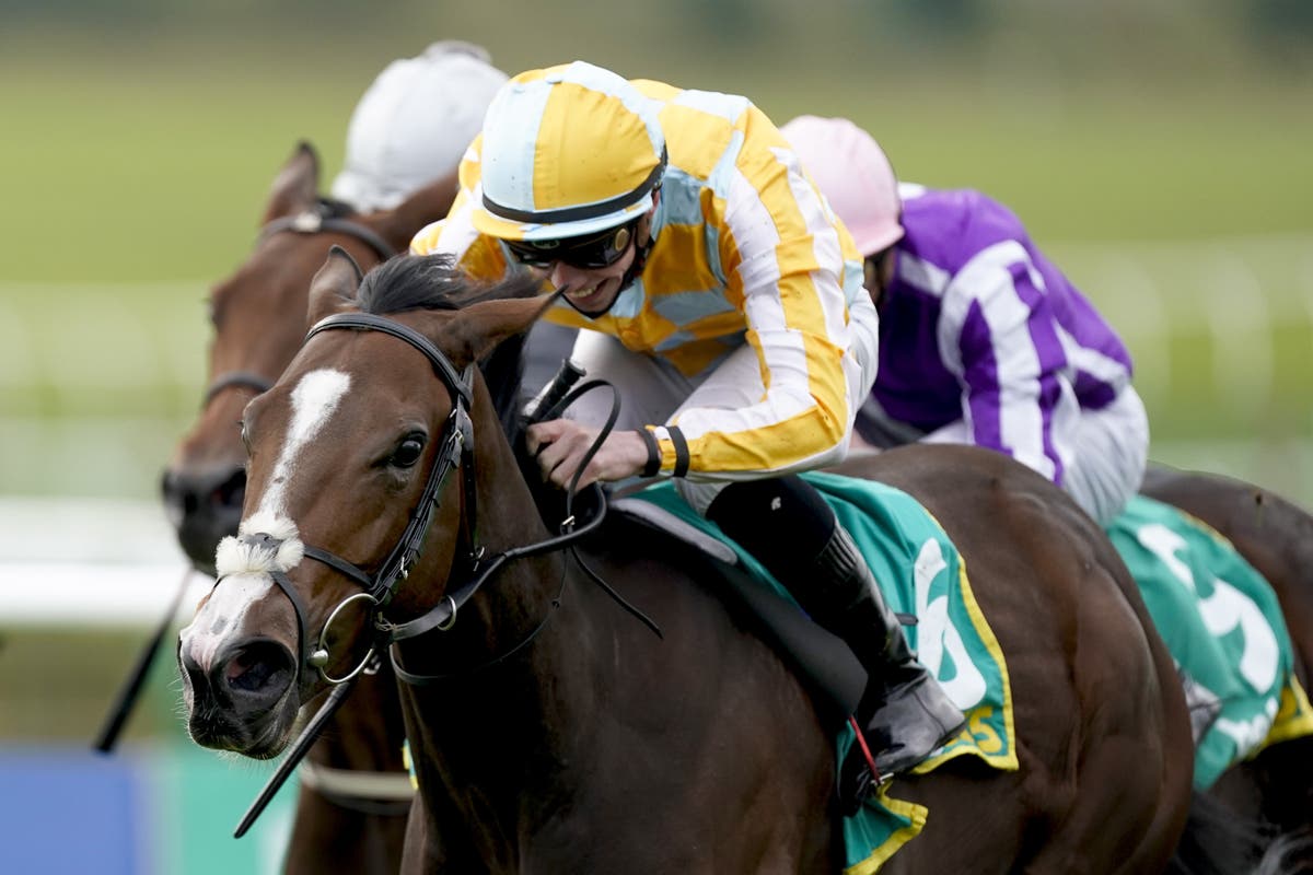 Pretty Gorgeous returns in Irish 1,000 Guineas | The Independent