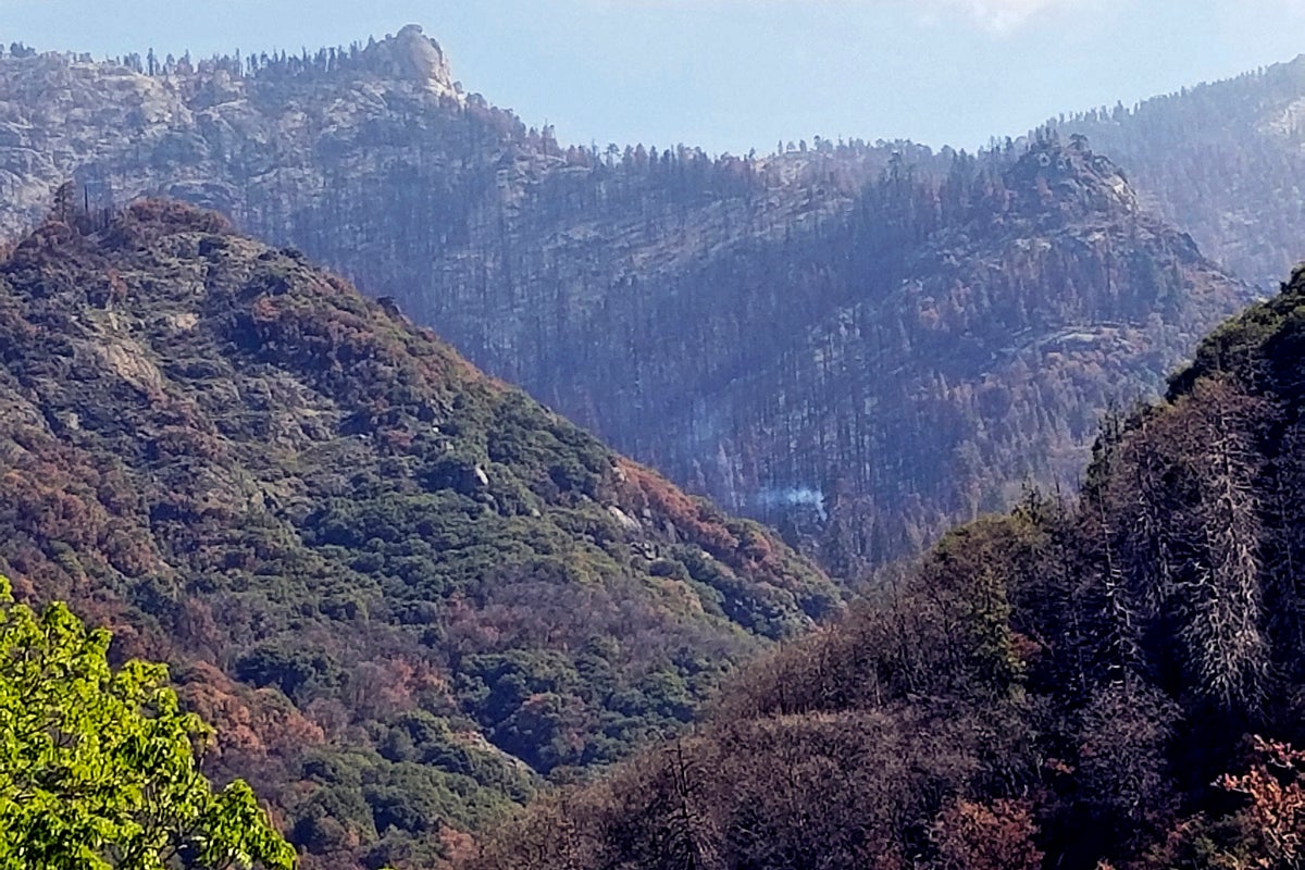 500-foot fall kills hiker on Memorial Day in California national park ...