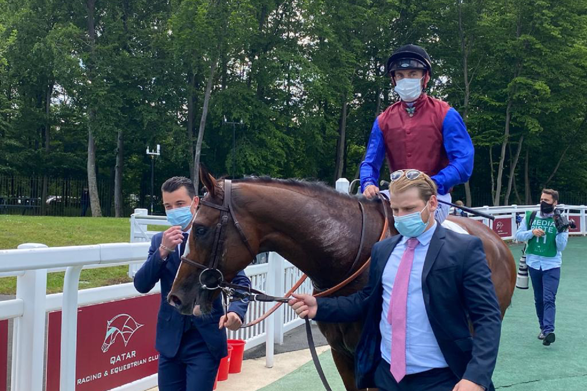 In Swoop takes next step on road back to the Arc | The Independent